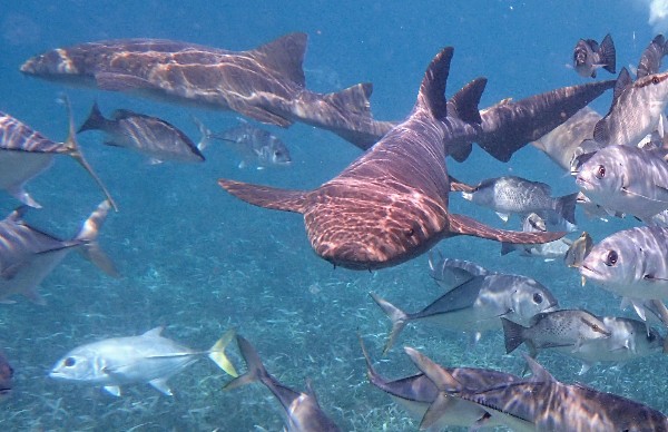 Budget-Friendly Itinerary for a Belize Adventure | Where in the world ...